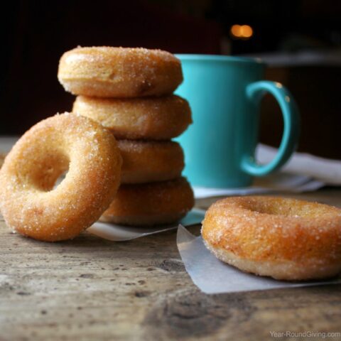 Mini Cinnamon Sugar Donuts Recipe