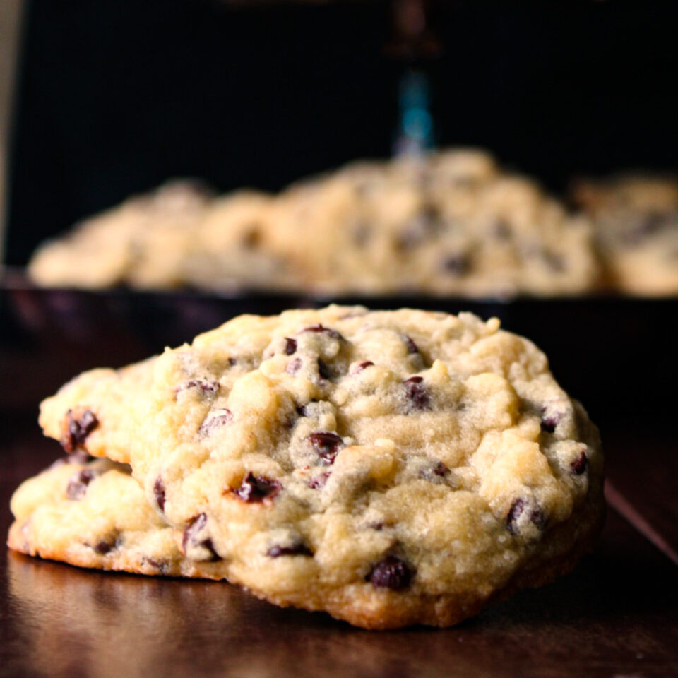 Bread Flour Chocolate Chip Cookies – Daily Appetite